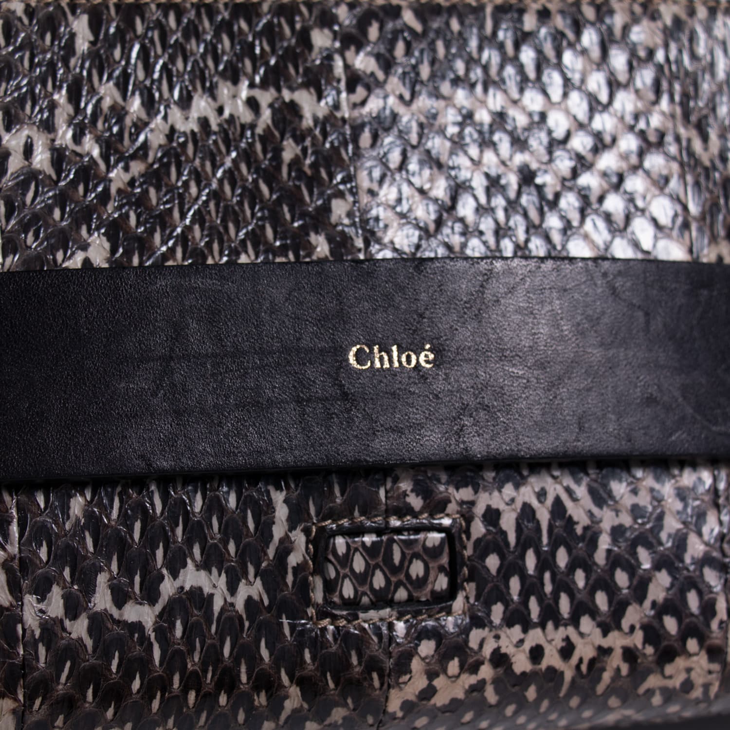 Shop authentic Chloé Snakeskin Medium Elle Bag at revogue for just USD ...